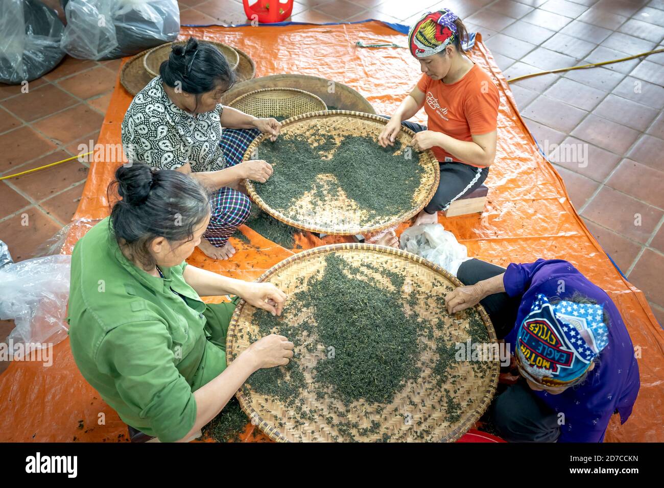 Tea Factory Tan Cuong, Thai Nguyen, Vietnam - September 23, 2020 ...