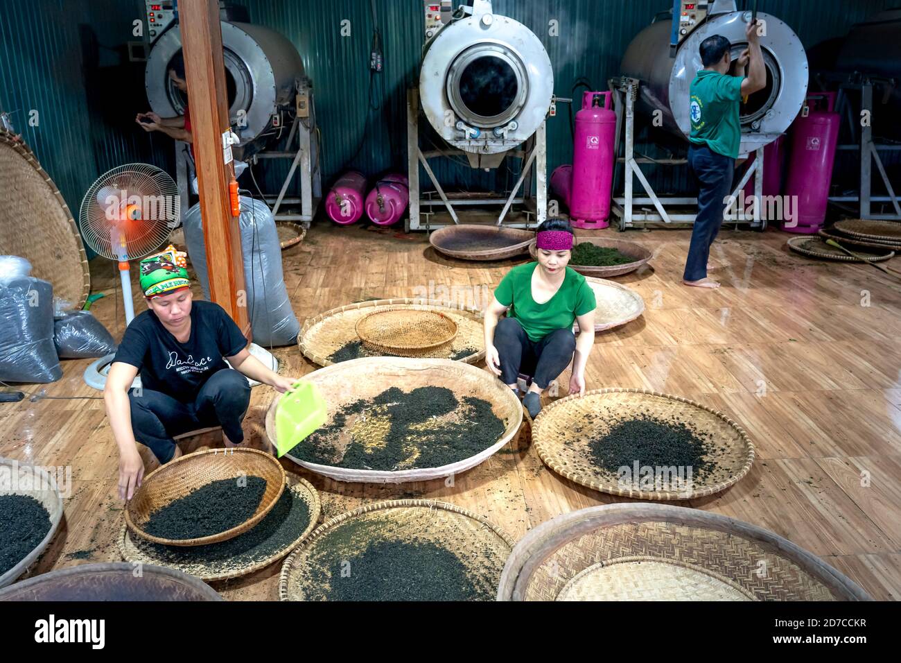 Tea Factory Tan Cuong, Thai Nguyen, Vietnam - September 23, 2020 ...