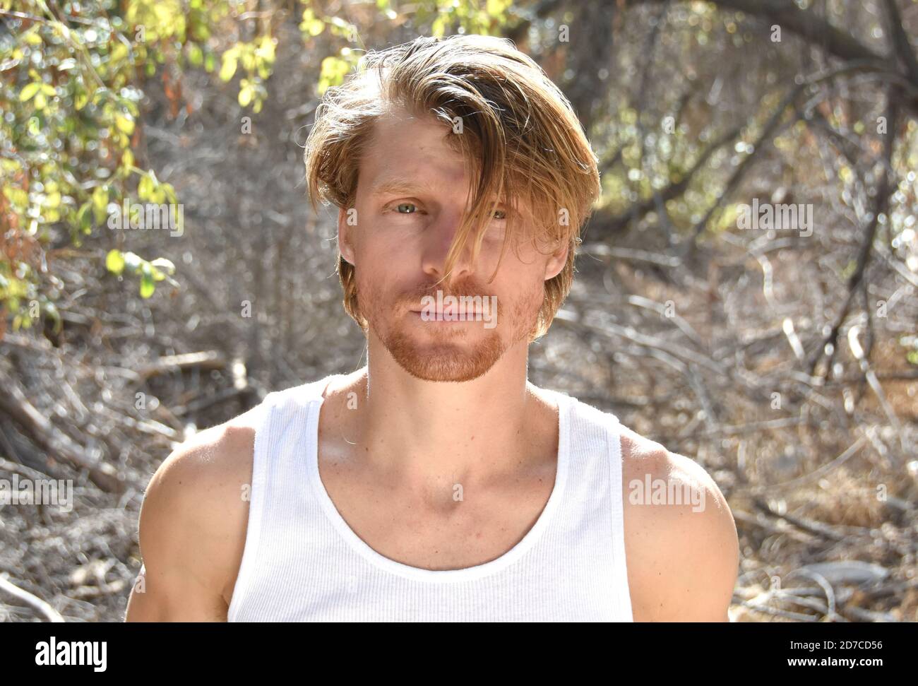 Los Angeles, California, USA 21st October 2020 (Exclusive) Actor Colin ...