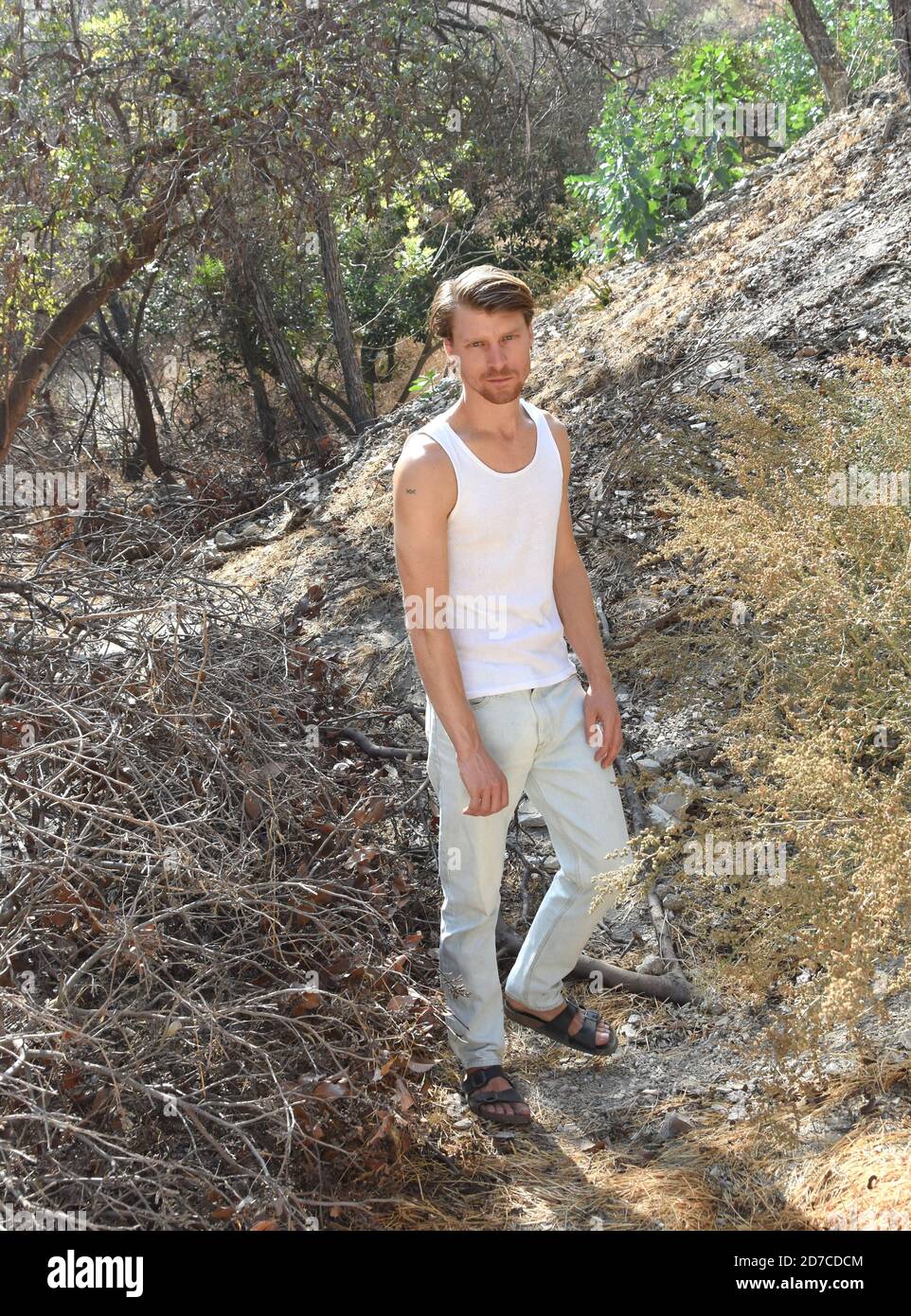 Los Angeles, California, USA 21st October 2020 (Exclusive) Actor Colin ...