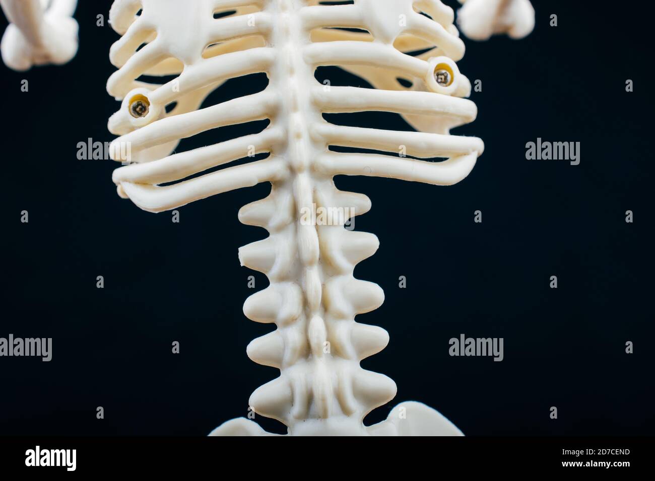 Bone figurines hi-res stock photography and images - Alamy
