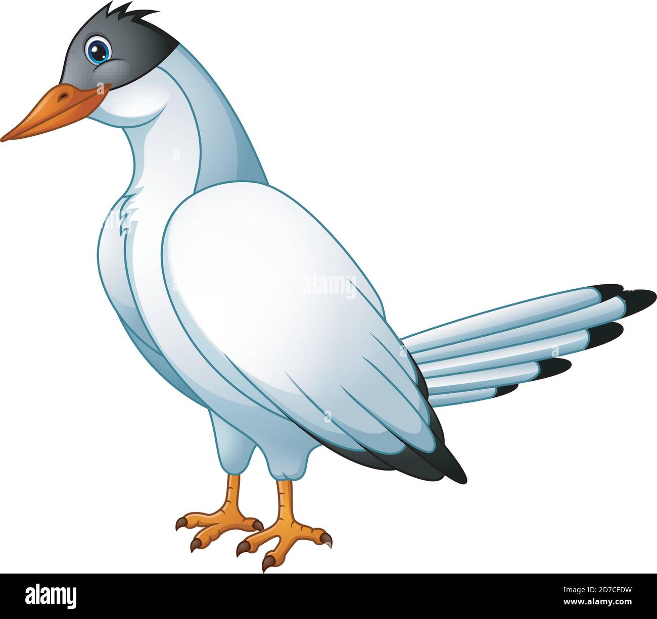 Vector illustration of Cute bird tern cartoon Stock Vector Image & Art ...