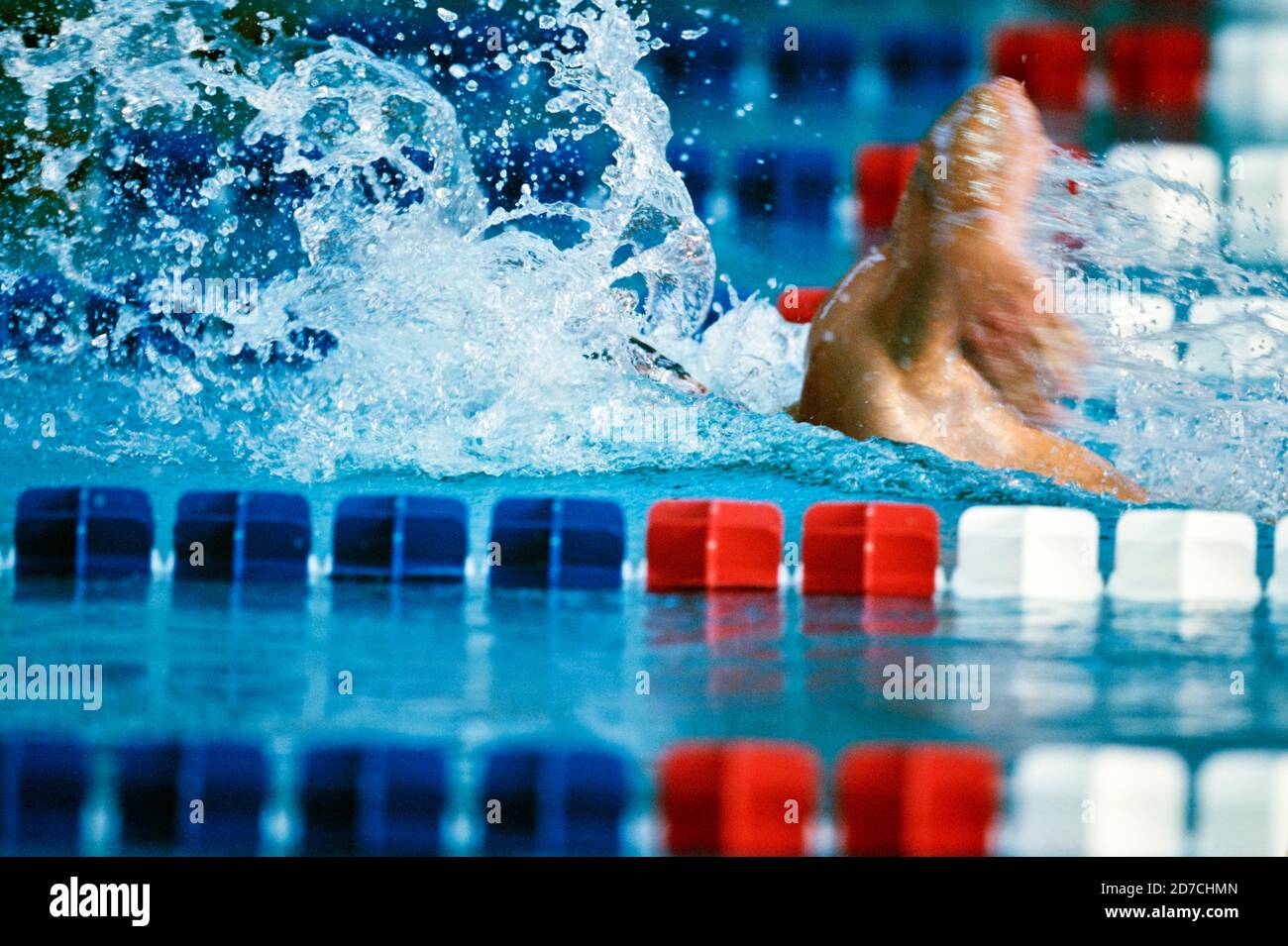 General view during the Atlanta 1996 Olympic Games Swimming at Georgia ...