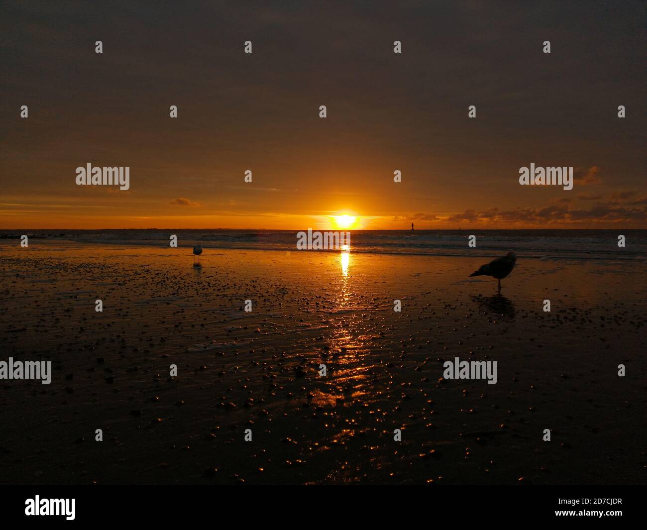 Addicted to nature hi-res stock photography and images - Alamy