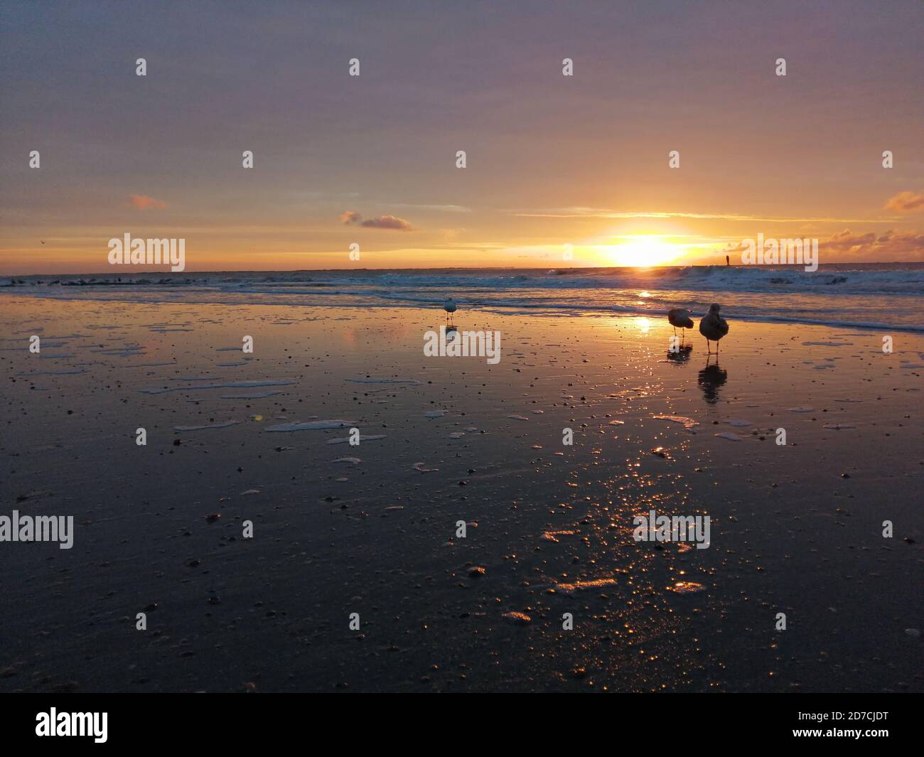 Addicted to nature hi-res stock photography and images - Alamy