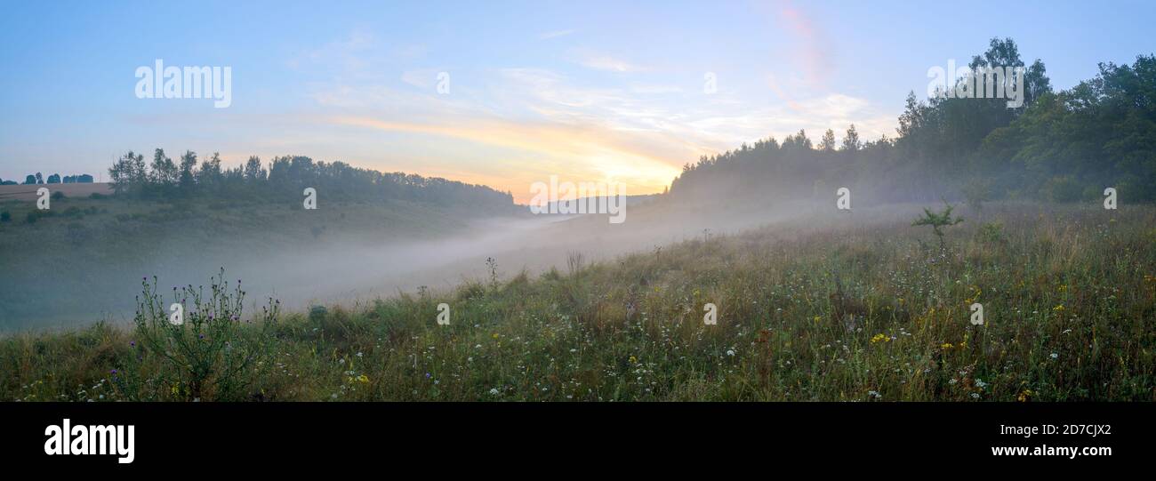 Beautiful summer hazy landscape with foggy hollow and green hills ...