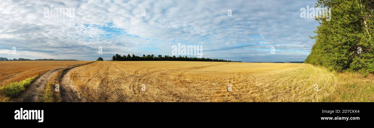 Beautiful panoramic field landscape sunset hi-res stock photography and ...