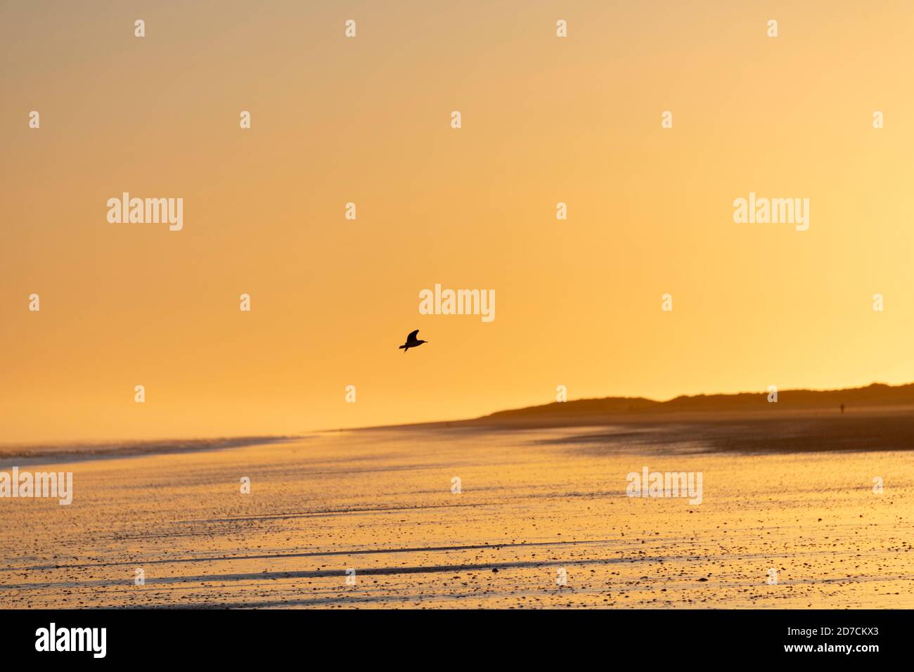 Eighty Mile Beach in Western Australia's north west Stock Photo - Alamy