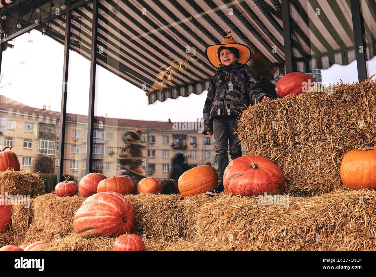6 years boy in Halloween costume with pumpkins at farm market stands on ...