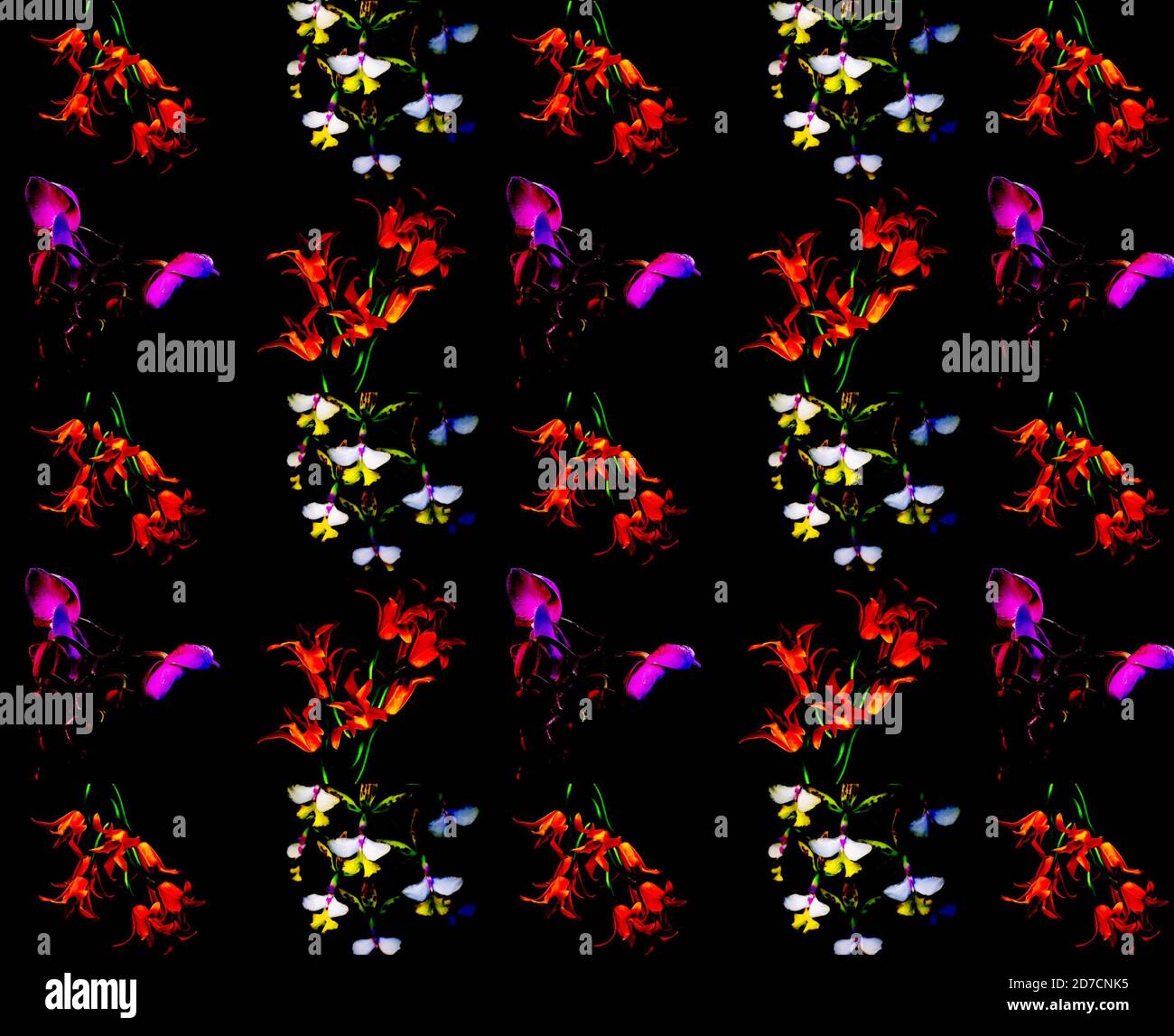Repeating pattern of orchids on black background. Modern style texture ...