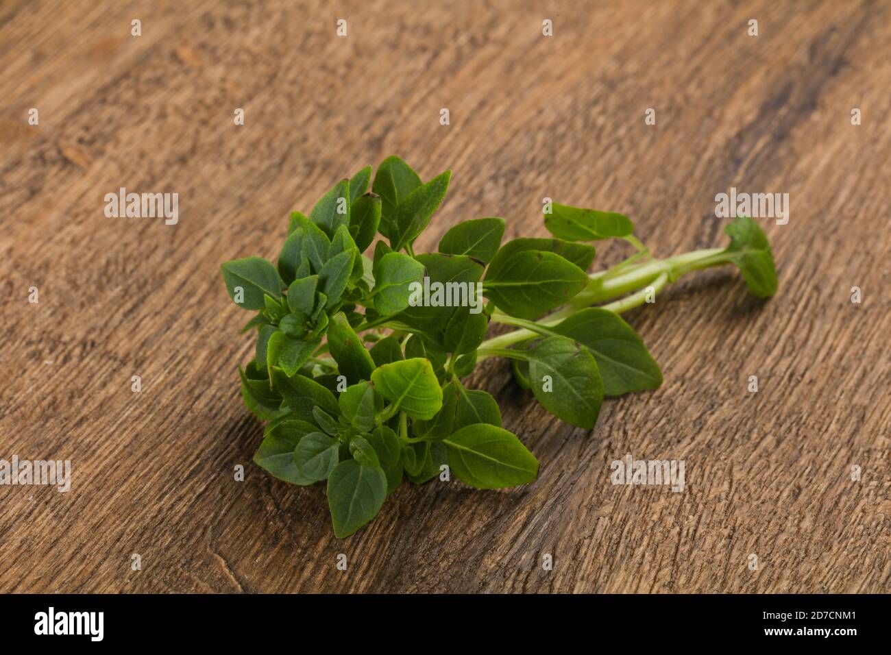 Green Basil leaves - aroma herbs Stock Photo - Alamy