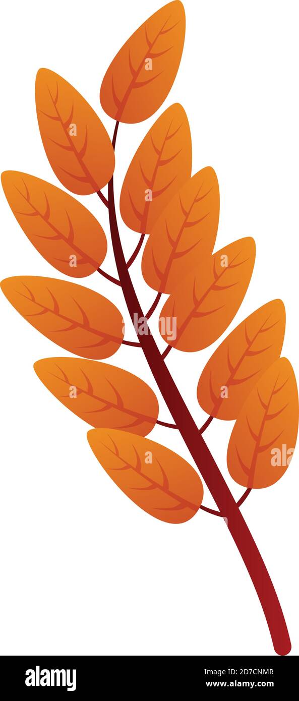 Ash tree autumn leaf icon. Cartoon of ash tree autumn leaf vector icon ...