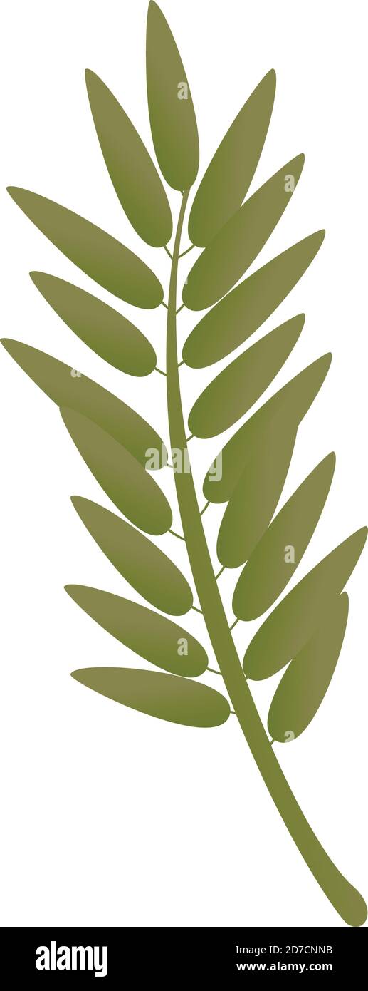 Rowan green branch icon. Cartoon of rowan green branch vector icon for ...