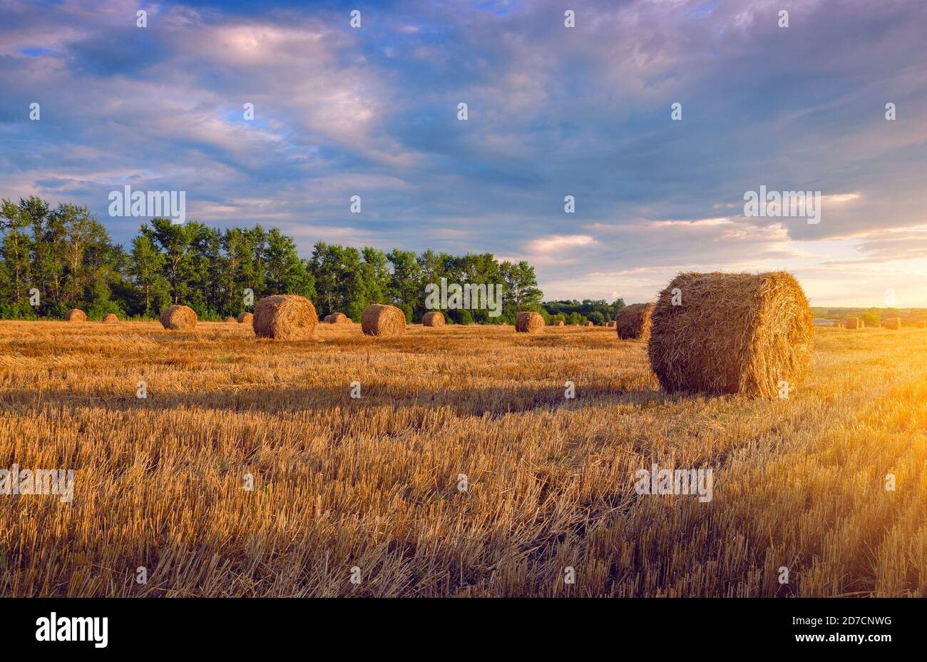 Farm field with hay stacks during sunset Stock Photo - Alamy