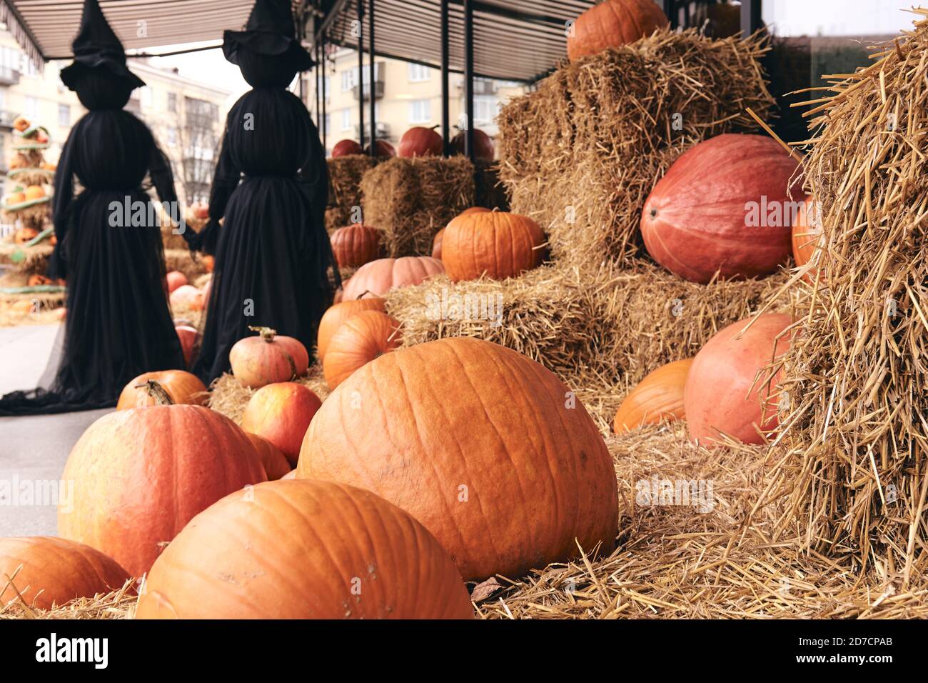 Decorative pumpkins at farm market stands on sheaves of hay ...