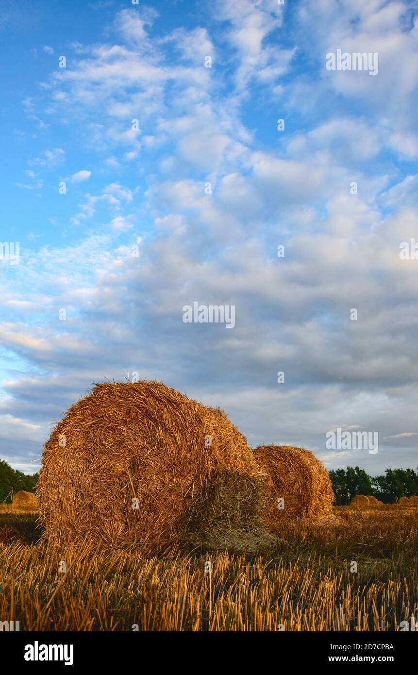 Farming farmland sunset hi-res stock photography and images - Alamy