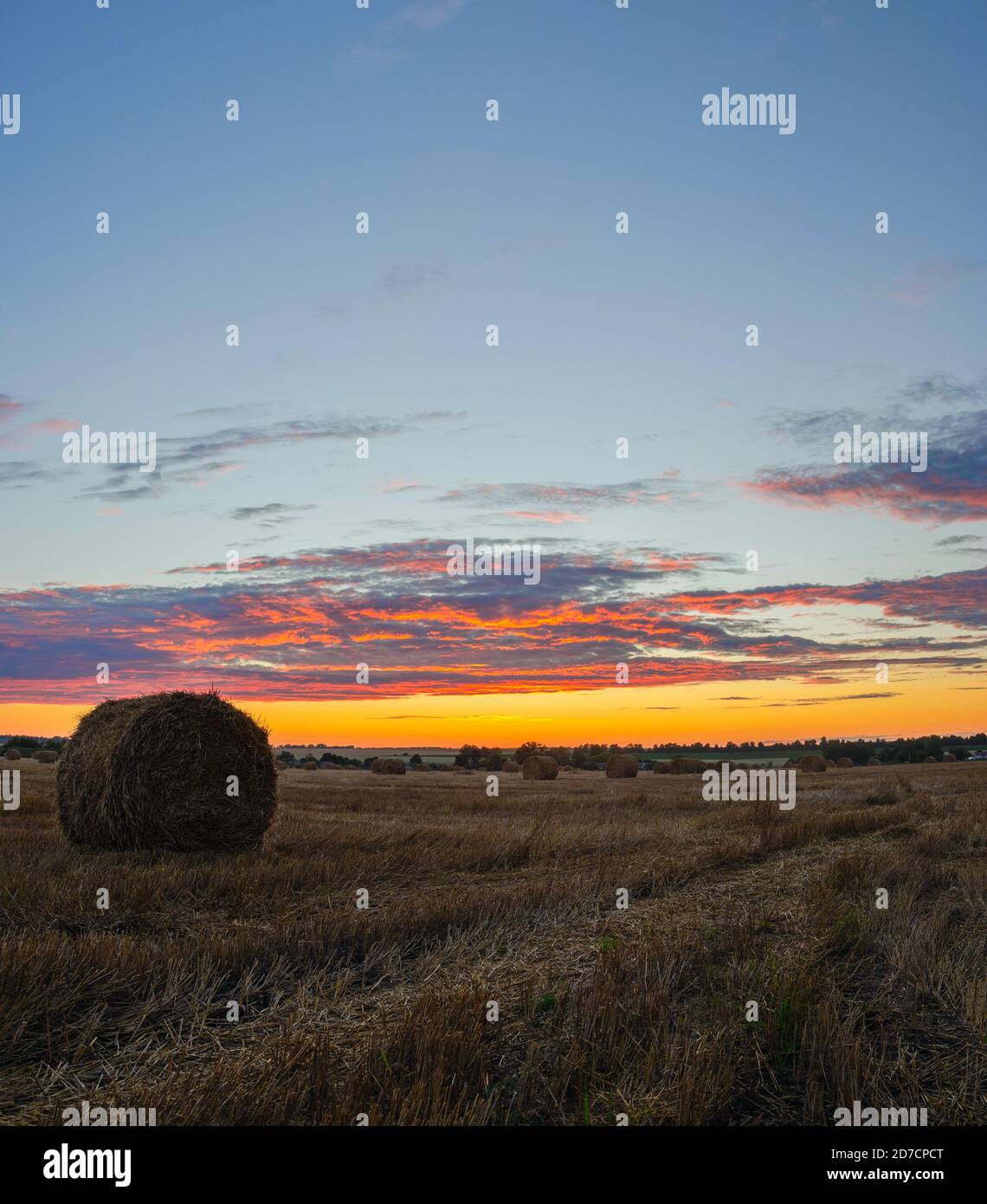 Farml field with hay bales during sunset Stock Photo - Alamy