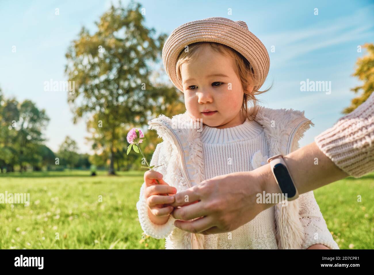 Caucasian child girl takes a clover flower from a person hand Stock ...