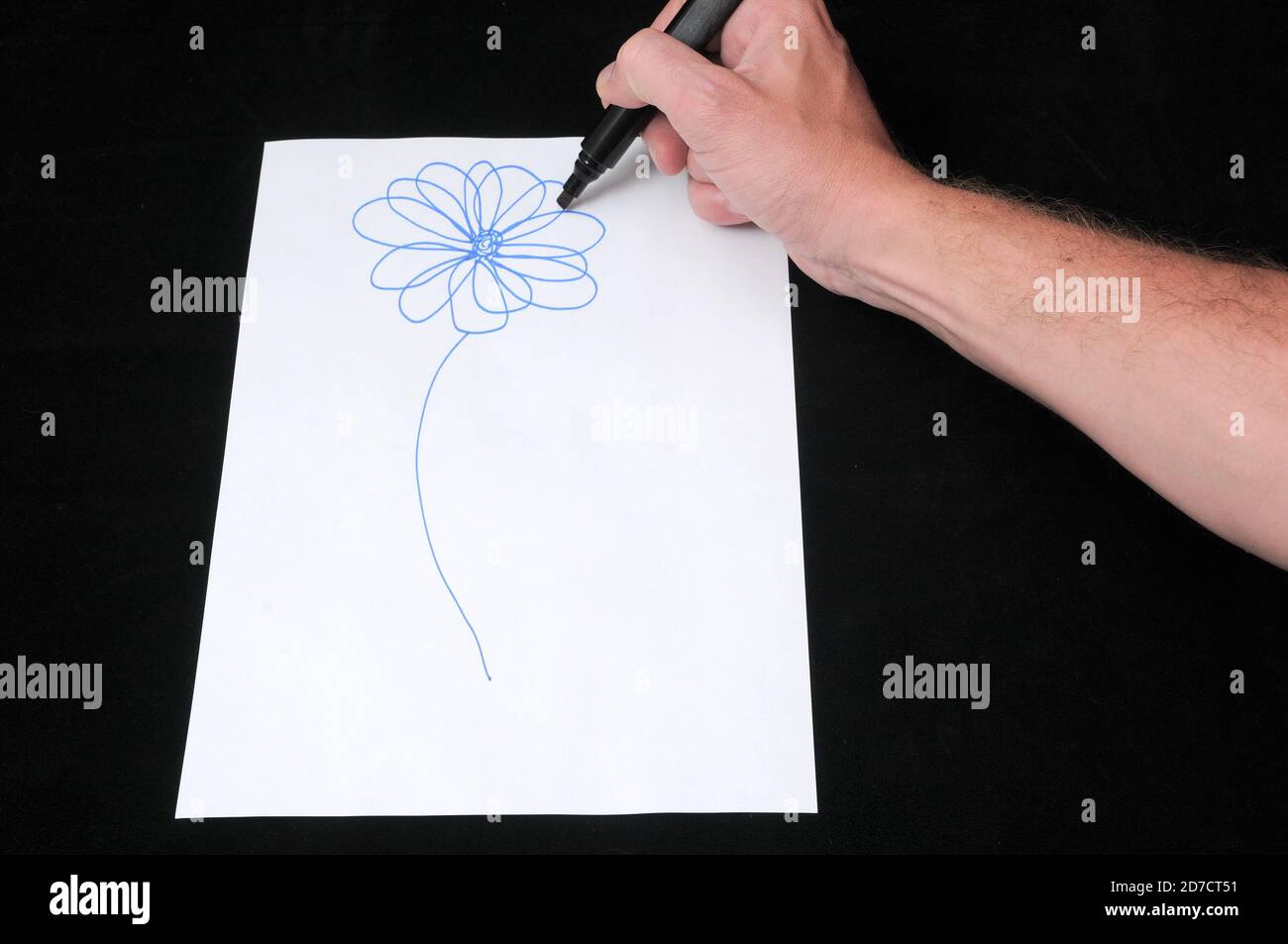 Drawing on a White Paper Stock Photo - Alamy