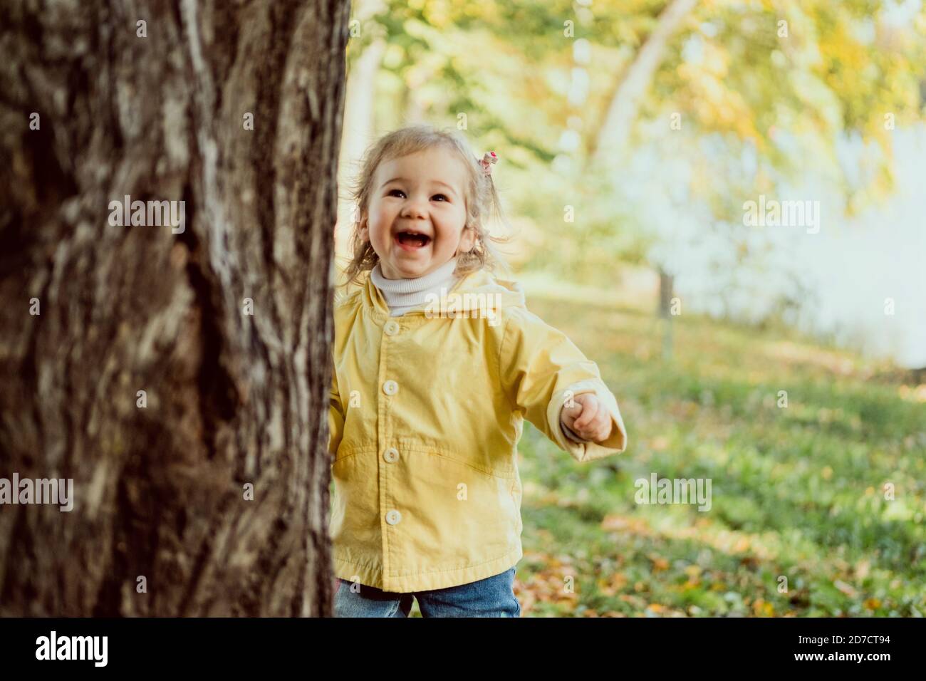 Looking out from behind a tree hi-res stock photography and images - Alamy