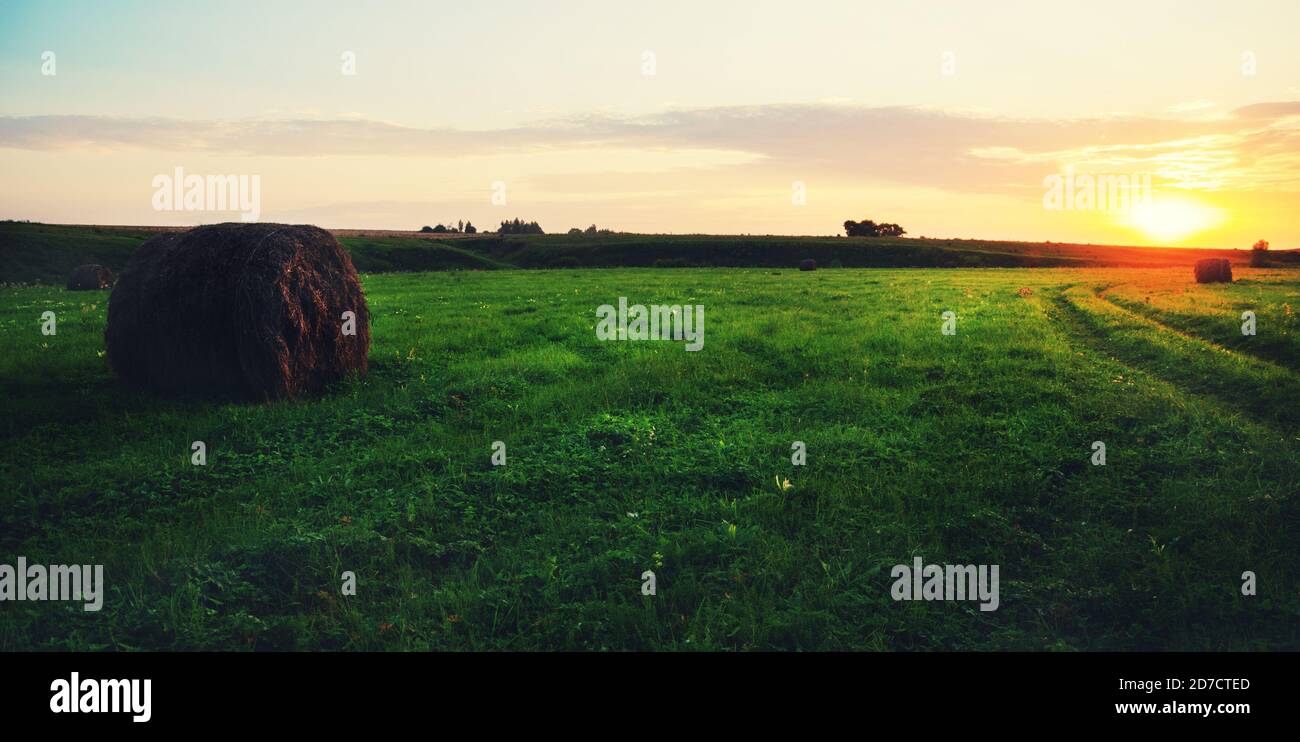 Hay sun hi-res stock photography and images - Alamy