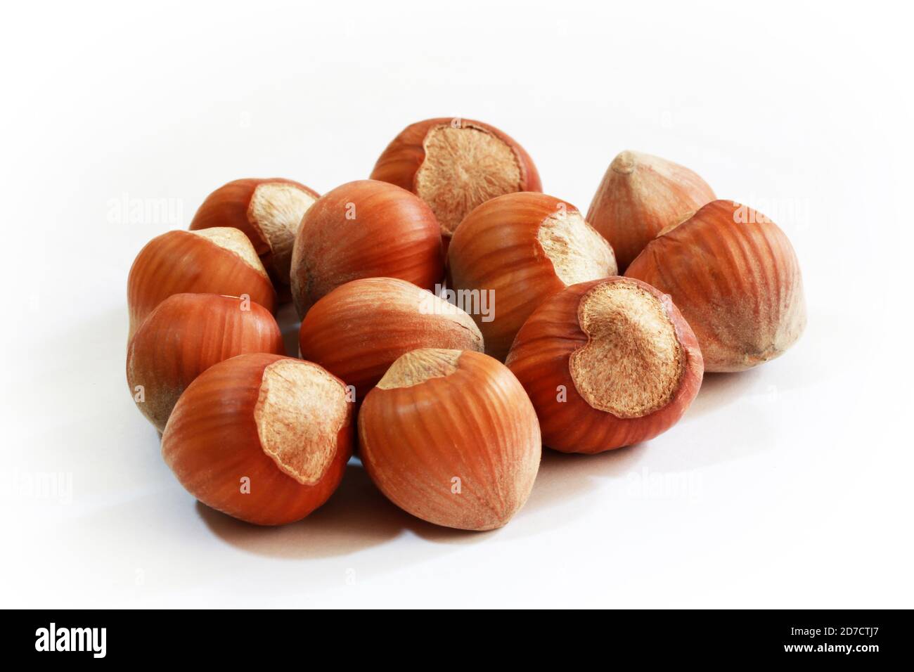 Hazelnuts isolated on white background. Studio shot Stock Photo - Alamy