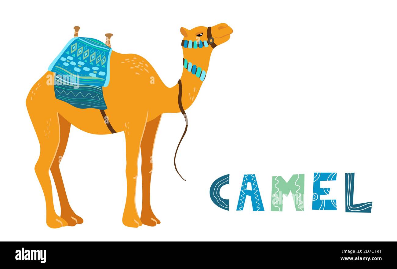 Camel cartoon vector illustration on white. Decorated camel with seat ...