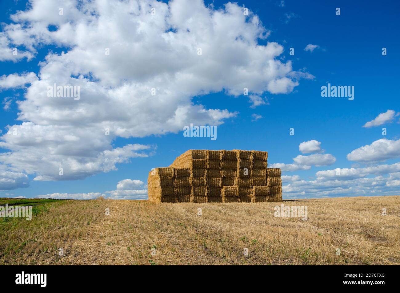 Big stack of rectangular hay bales in empty field on a background of ...