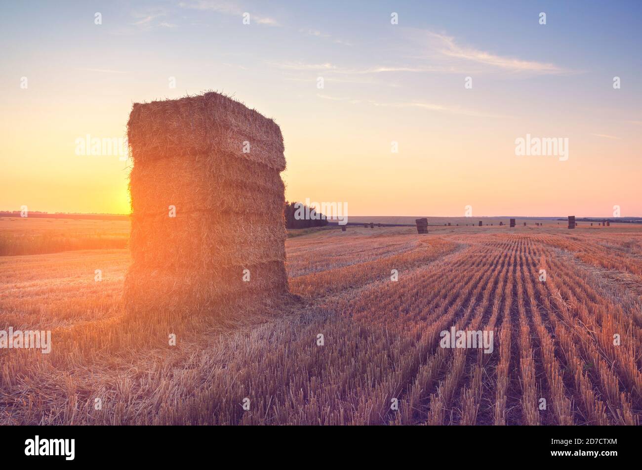 Rectangular field hi-res stock photography and images - Alamy