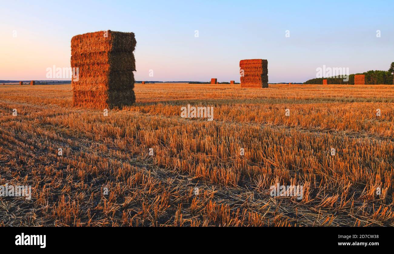 Rectangular field hi-res stock photography and images - Alamy