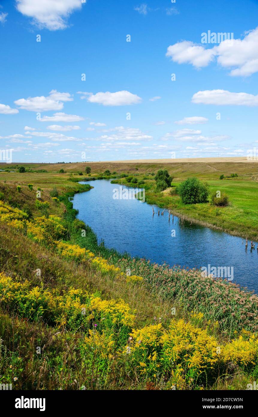 Sunny summer landscape with river flowing between the beautiful green ...