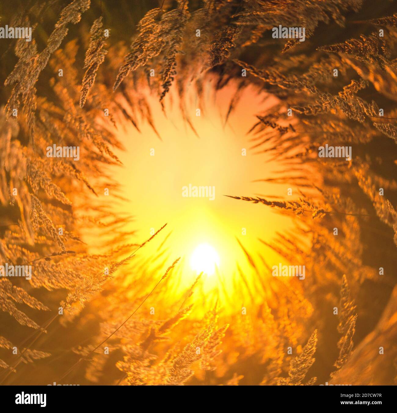 Stereographic hi-res stock photography and images - Alamy