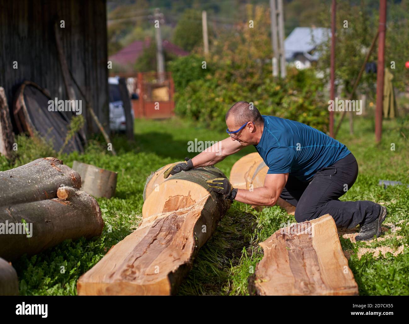 Strong lumberjack pushing and pulling logs to prop them for sawing ...