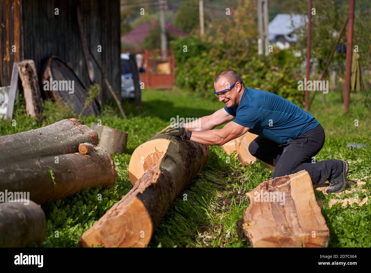 Strong lumberjack pushing and pulling logs to prop them for sawing ...