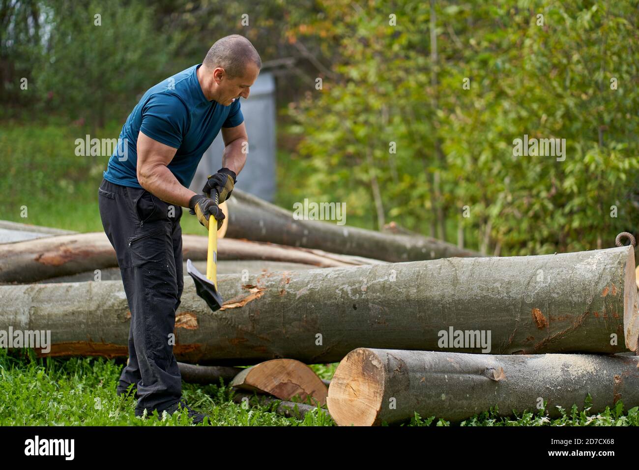 Log prop hi-res stock photography and images - Alamy
