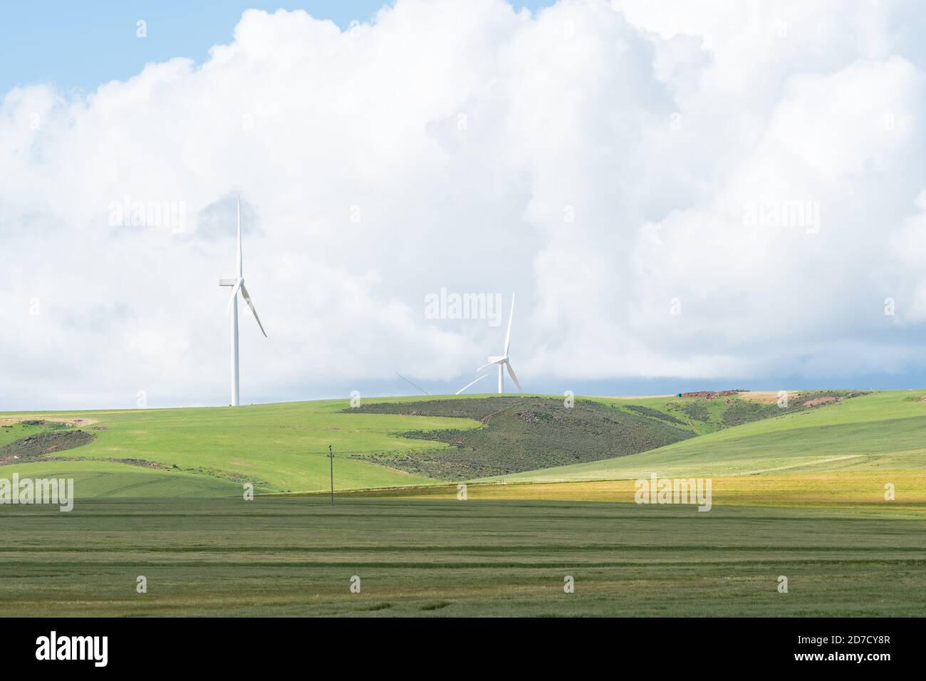 Wind turbines on a farm in the Overberg region in South Africa concept ...