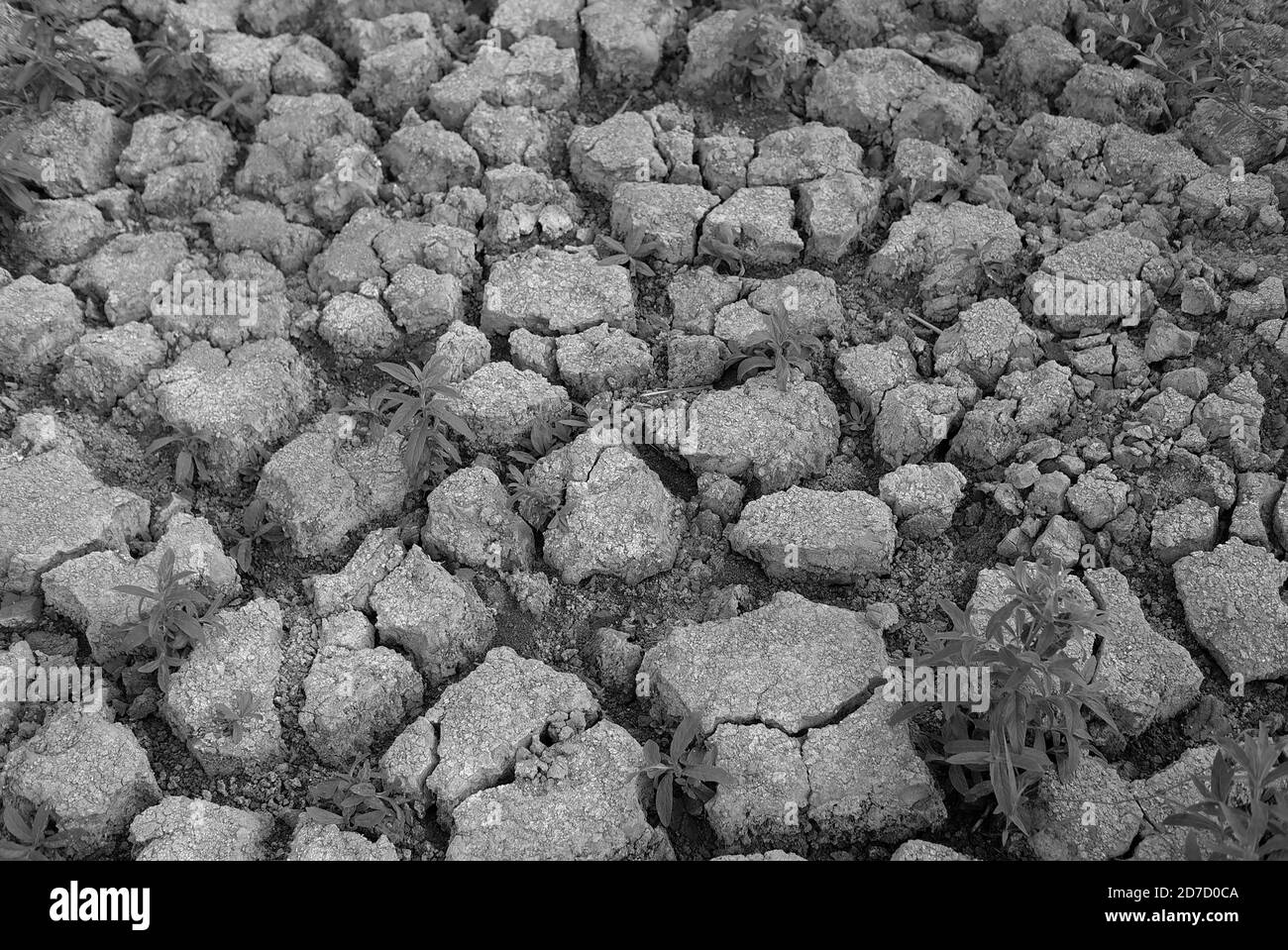 Dried out riverbed hi-res stock photography and images - Alamy