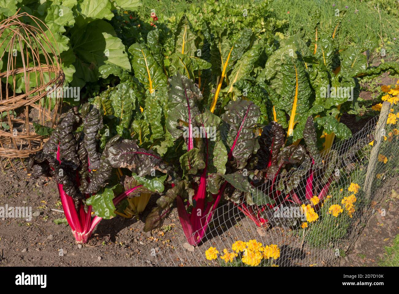 Red soil england hi-res stock photography and images - Alamy