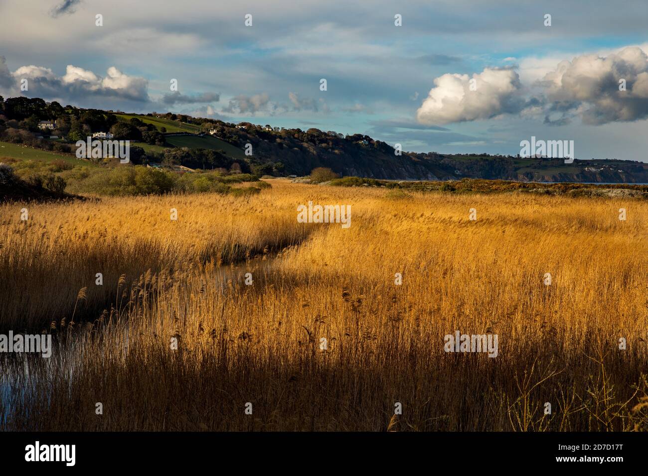 Slapton Ley NNR; Looking to Start Bay; Devon; UK Stock Photo - Alamy