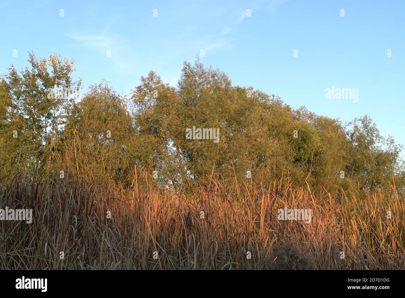 Bucharest Nature Park High Resolution Stock Photography and Images - Alamy