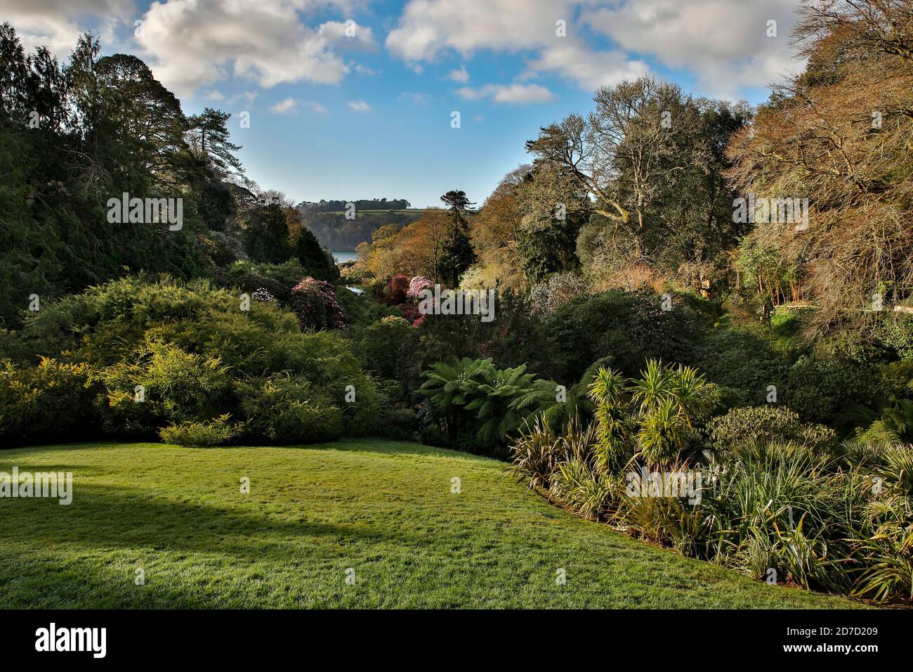 Trebah Garden; Spring; Cornwall; UK Stock Photo - Alamy
