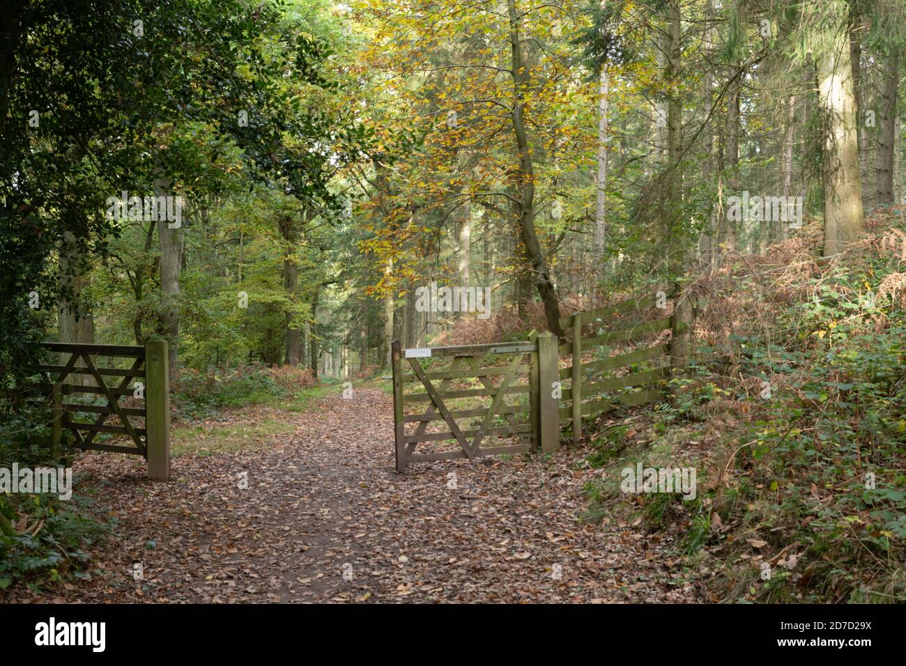 Rustic scene autumn hi-res stock photography and images - Alamy