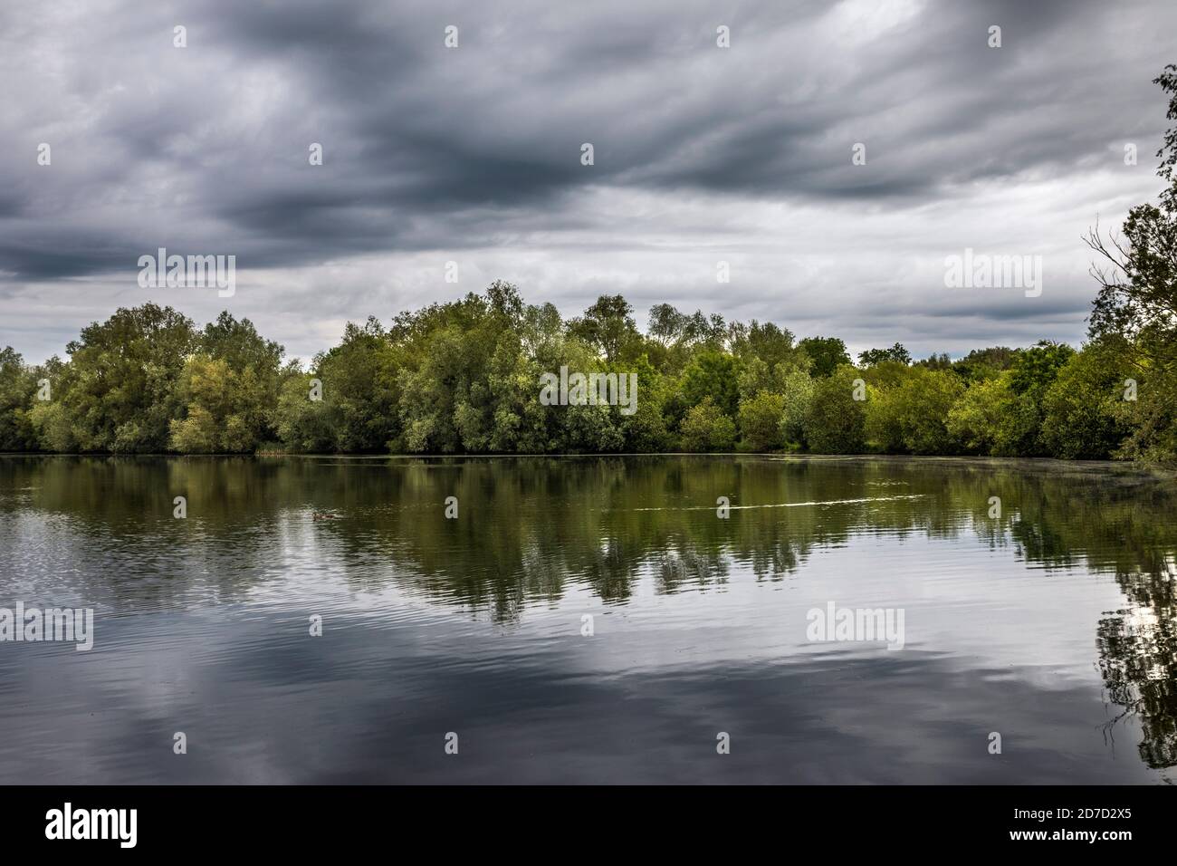 Wiltshire wildlife trsut hi-res stock photography and images - Alamy