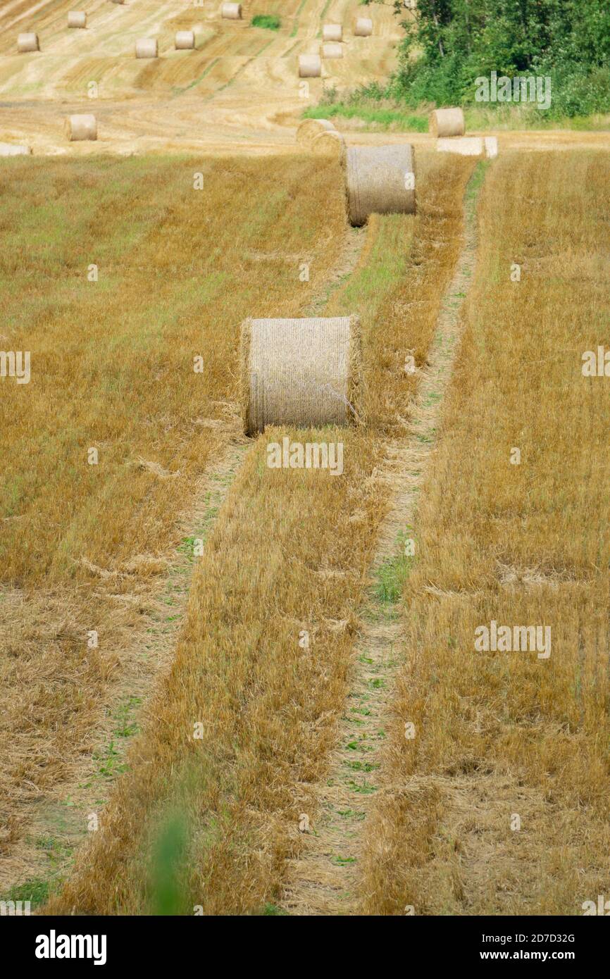 Hayloft land hi-res stock photography and images - Alamy