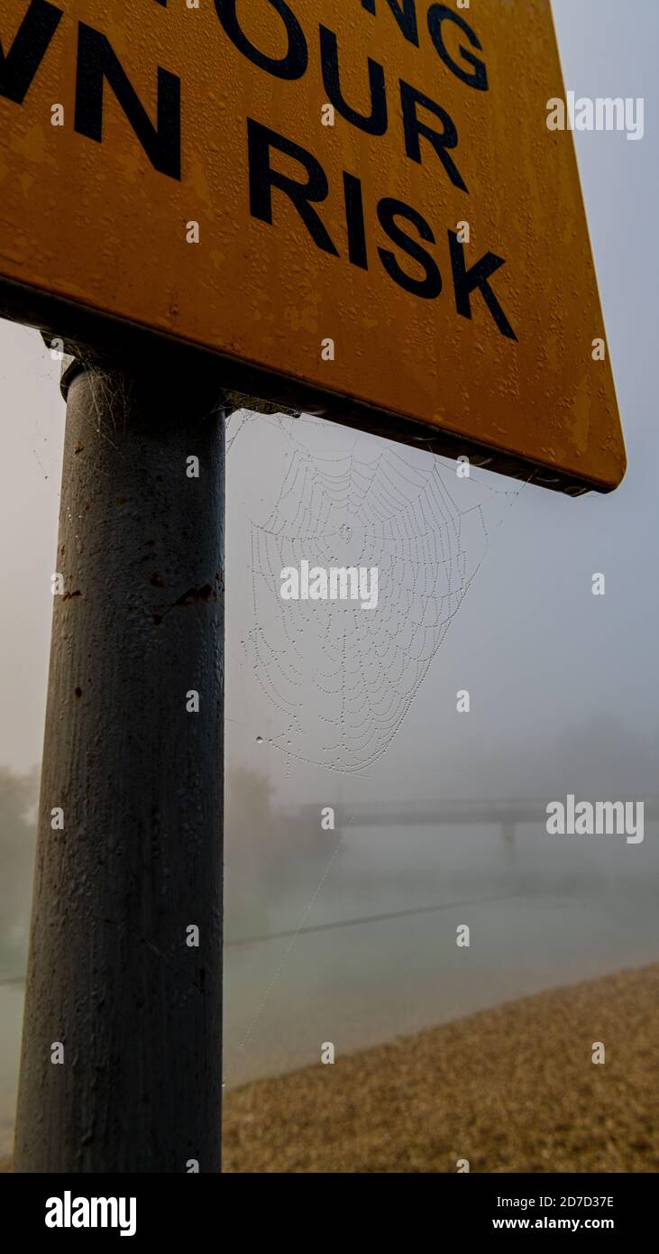 Spider web on the sign Stock Photo - Alamy