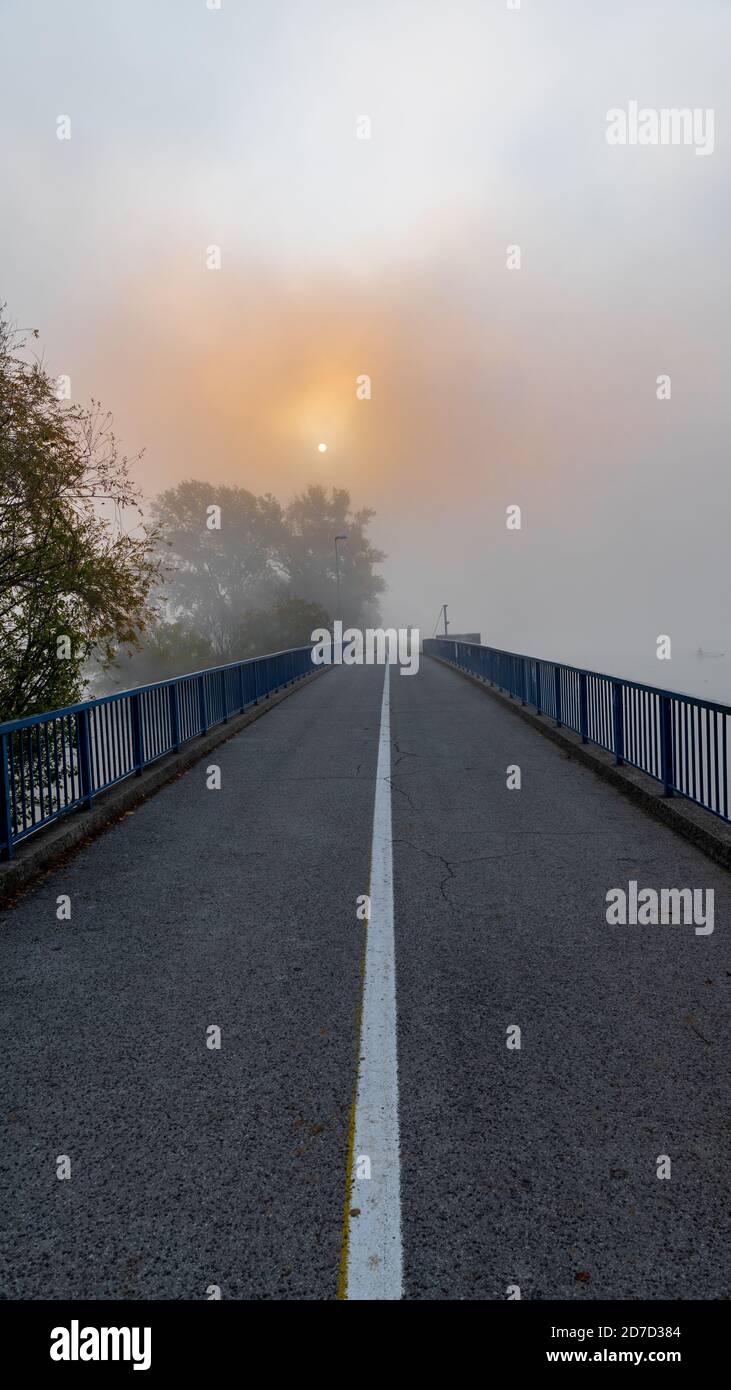 Dark misty grass background hi-res stock photography and images - Alamy