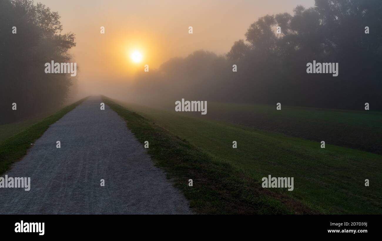 Road in the mist Stock Photo - Alamy