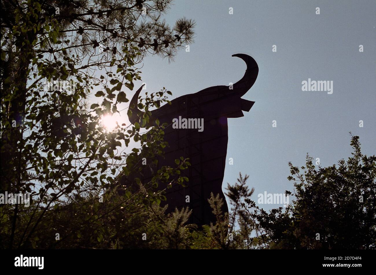 Silhouette icon profile hi-res stock photography and images - Alamy