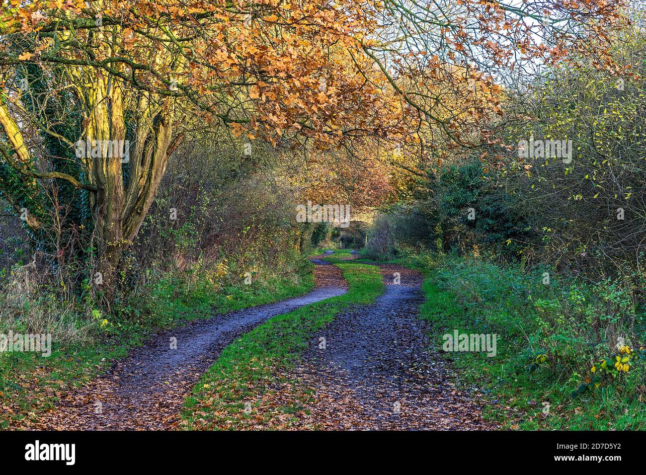 Bicical path hi-res stock photography and images - Alamy