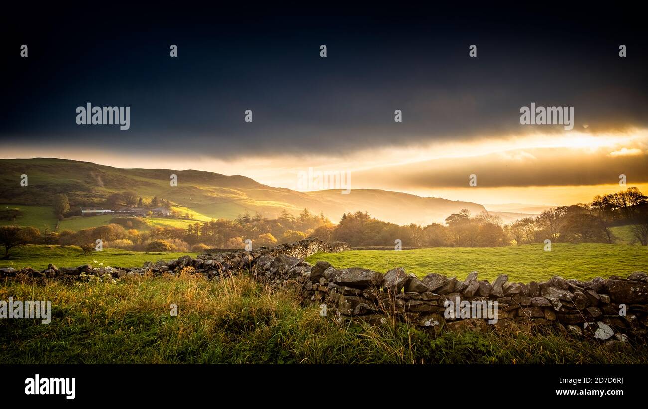 Newland farm hi-res stock photography and images - Alamy